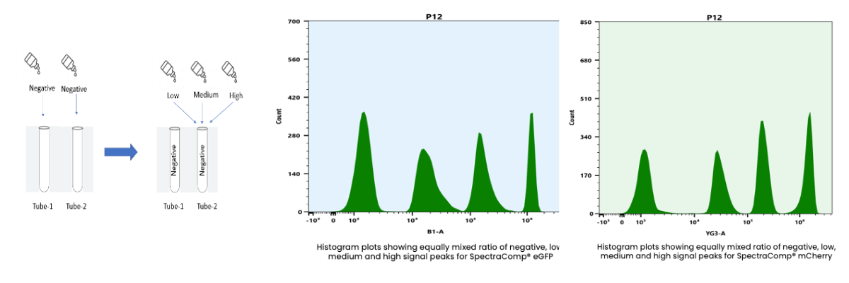 Fluorescent Protein Cell Mimics as Positive Controls for Flow Cytometry ...